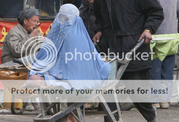 tactical wheelbarrow > General Discussion > AR15.COM