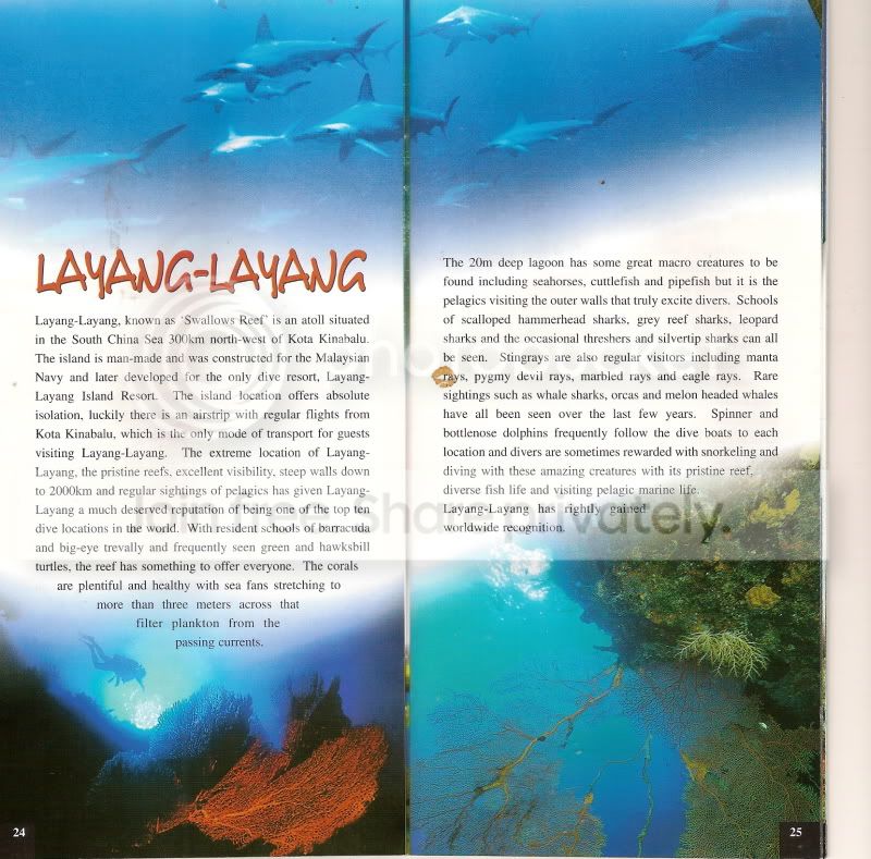 Puerto Princesa City and Palawan Province | Page 48 | SkyscraperCity Forum